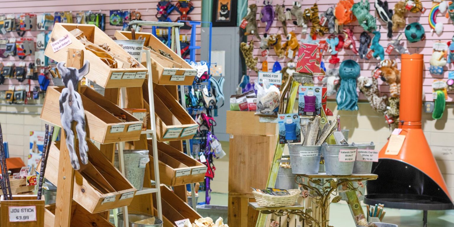 Shop Local at These Madison Pet Shops | BRAVA Magazine